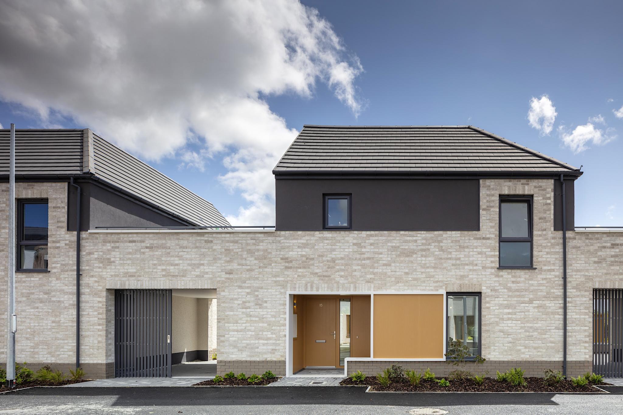 Wilkinsons Brook, Dublin | Proctor & Matthews Architects